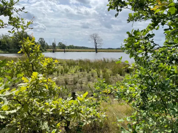 Leenderbos, Groote Heide & De Plateaux, provincie Noord-Brabant ...